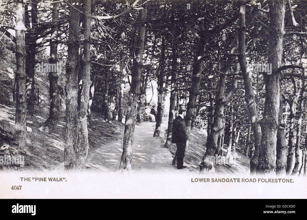 The 'Pine Walk' - Lower Sandgate Road, Folkestone, Kent Stock Photo - Alamy