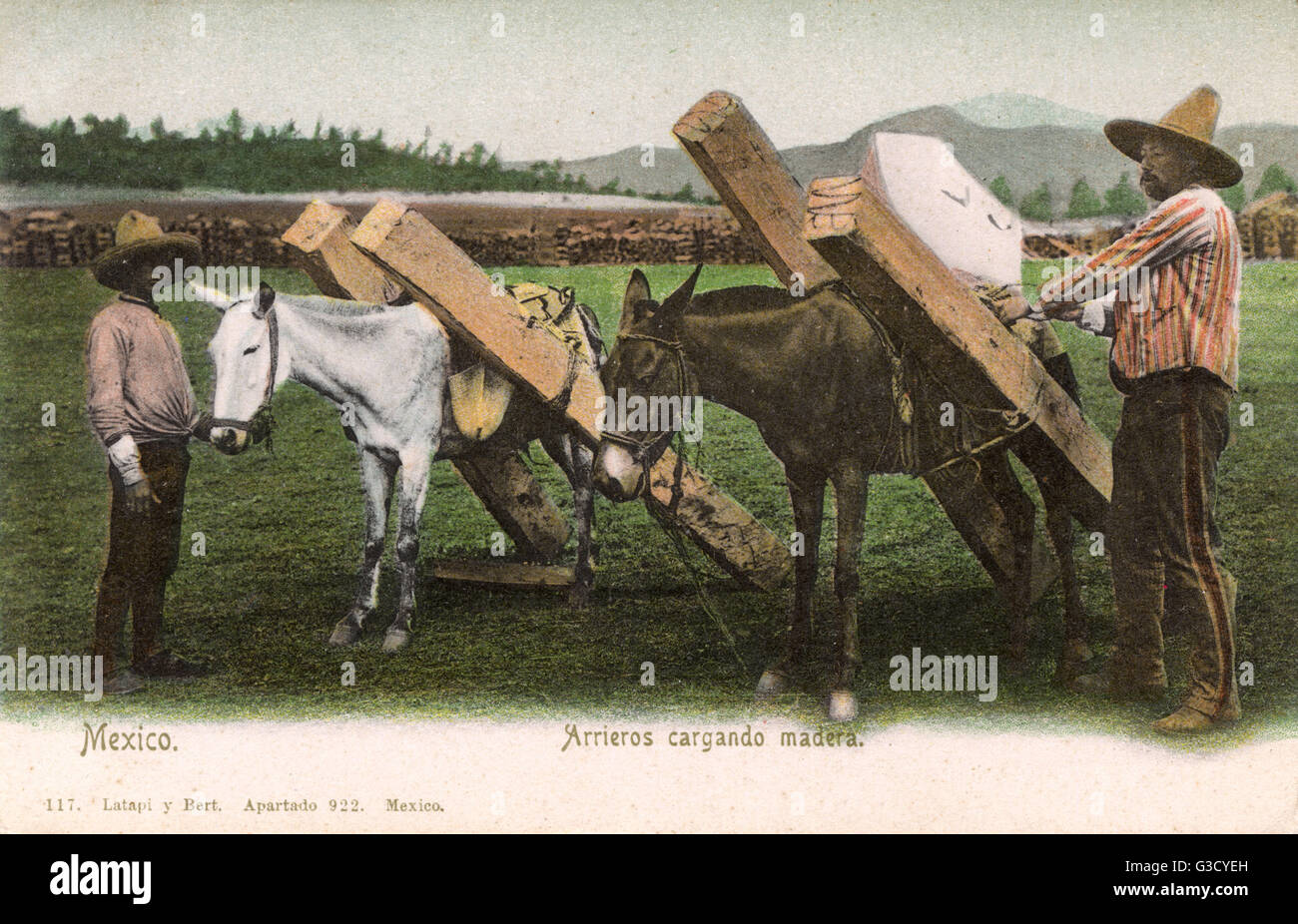 Mules Carrying Load High Resolution Stock Photography and Images - Alamy