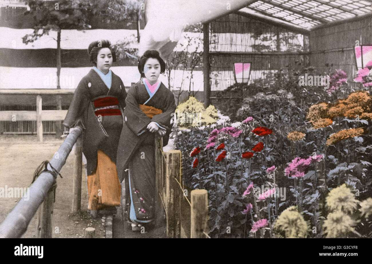 Two Japanese Geisha in a garden with colourful blooms Stock Photo - Alamy