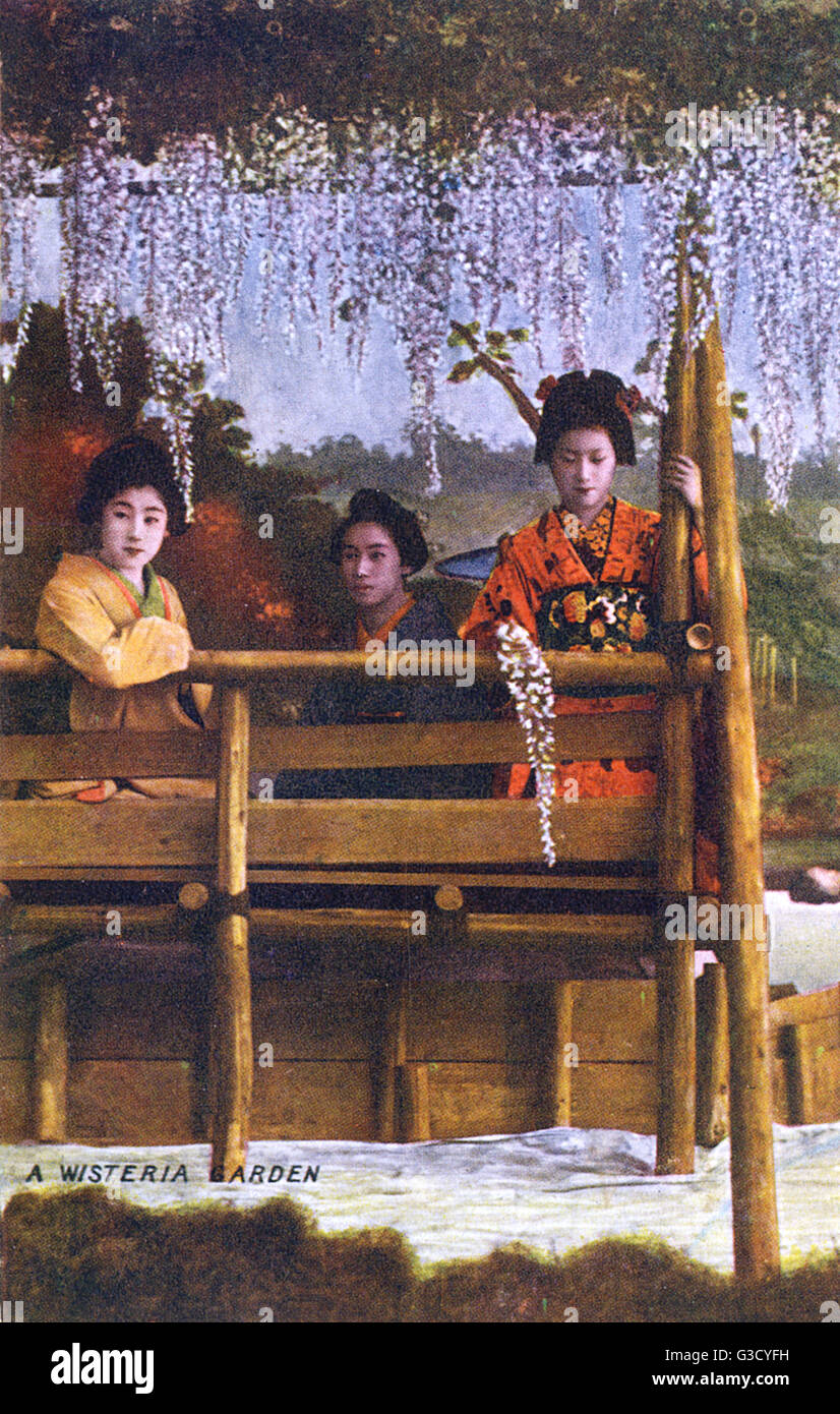 Three Japanese Geisha girls in a Wisteria Garden Stock Photo - Alamy