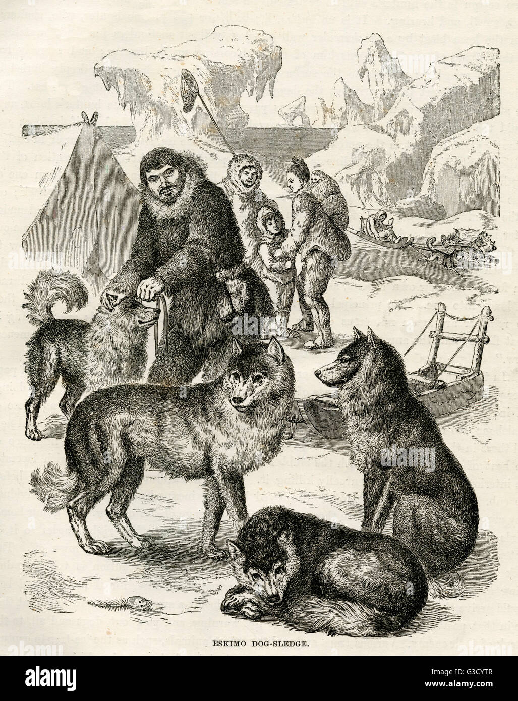 Sledge types hi-res stock photography and images - Alamy