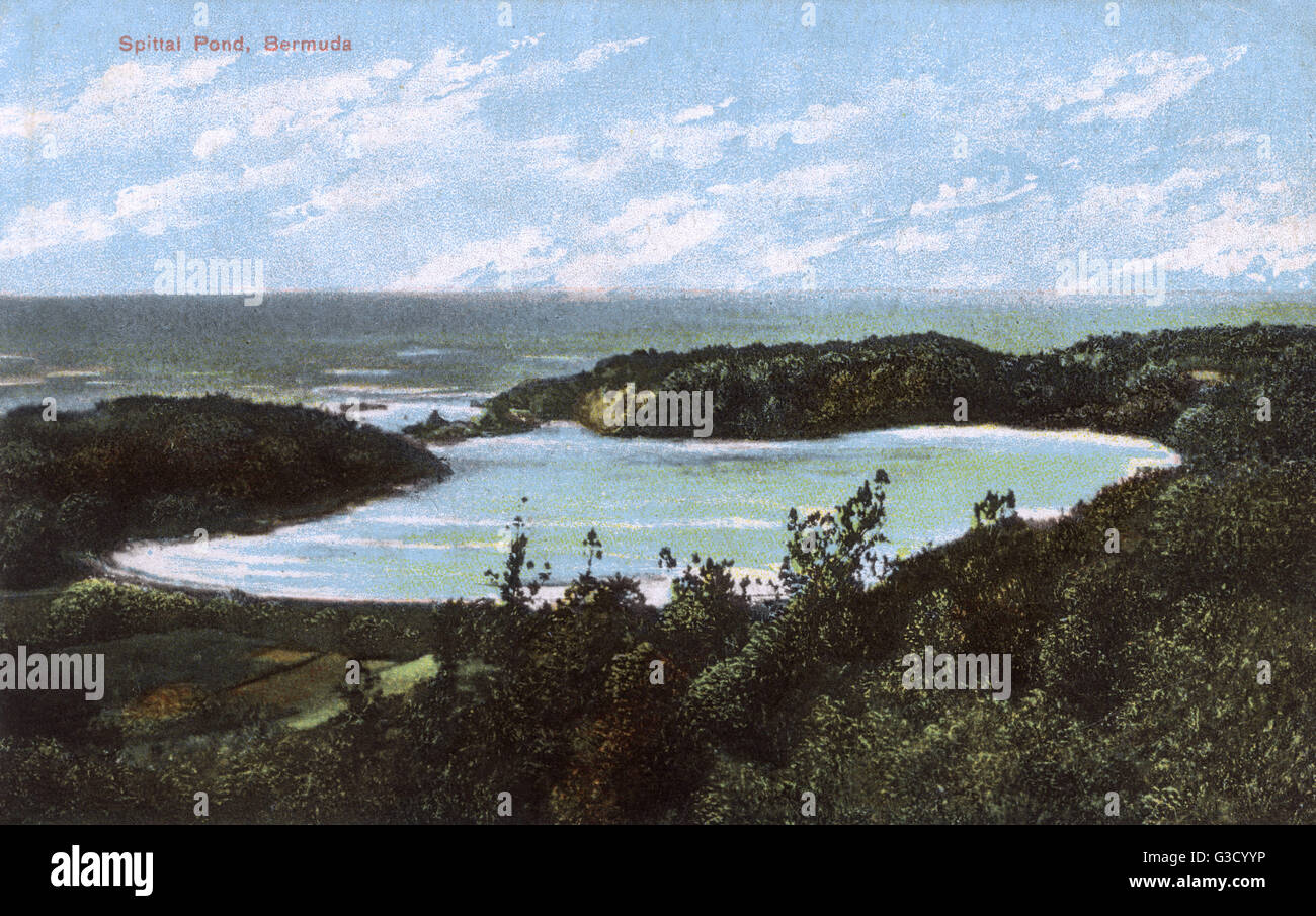 Spittal Pond, Bermuda Stock Photo - Alamy