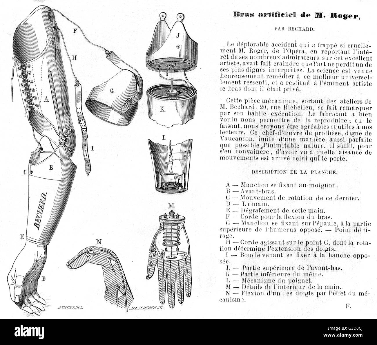 Artificial Limb High Resolution Stock Photography and Images - Alamy