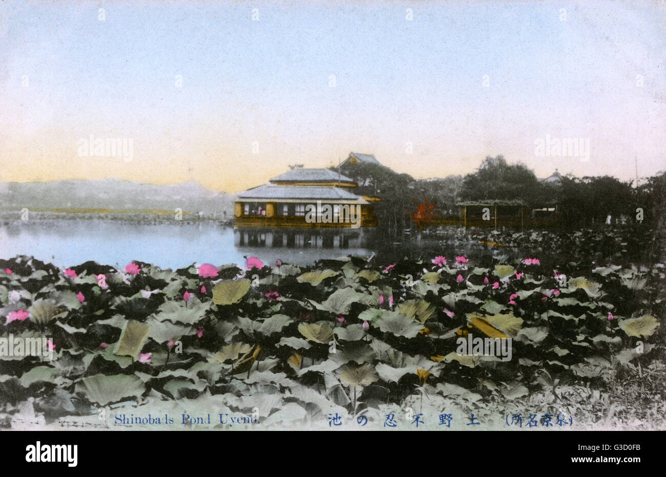 Shinobazu Ponds, Ueno Park, Taito, Tokyo, Japan Stock Photo - Alamy