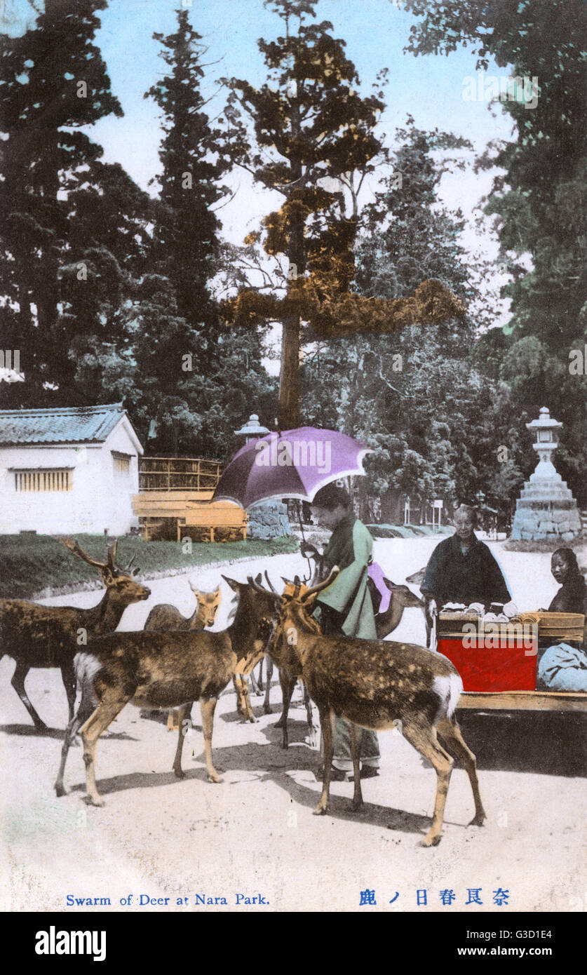 Shinto Kasuga Shrine at Nara, Japan - The Deer Park Stock Photo - Alamy