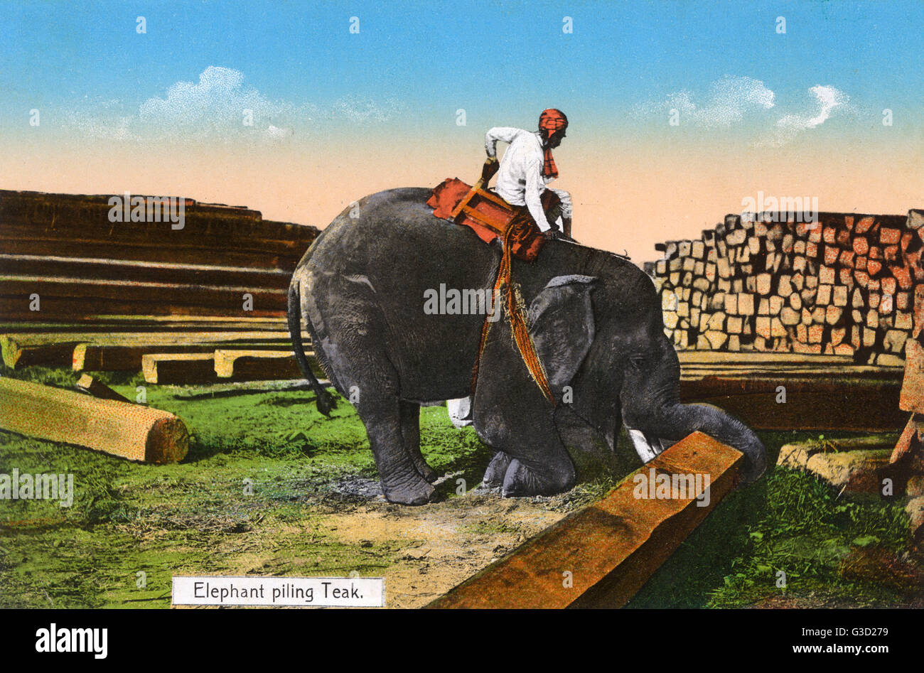 Elephant piling Teak - Myanmar Stock Photo - Alamy