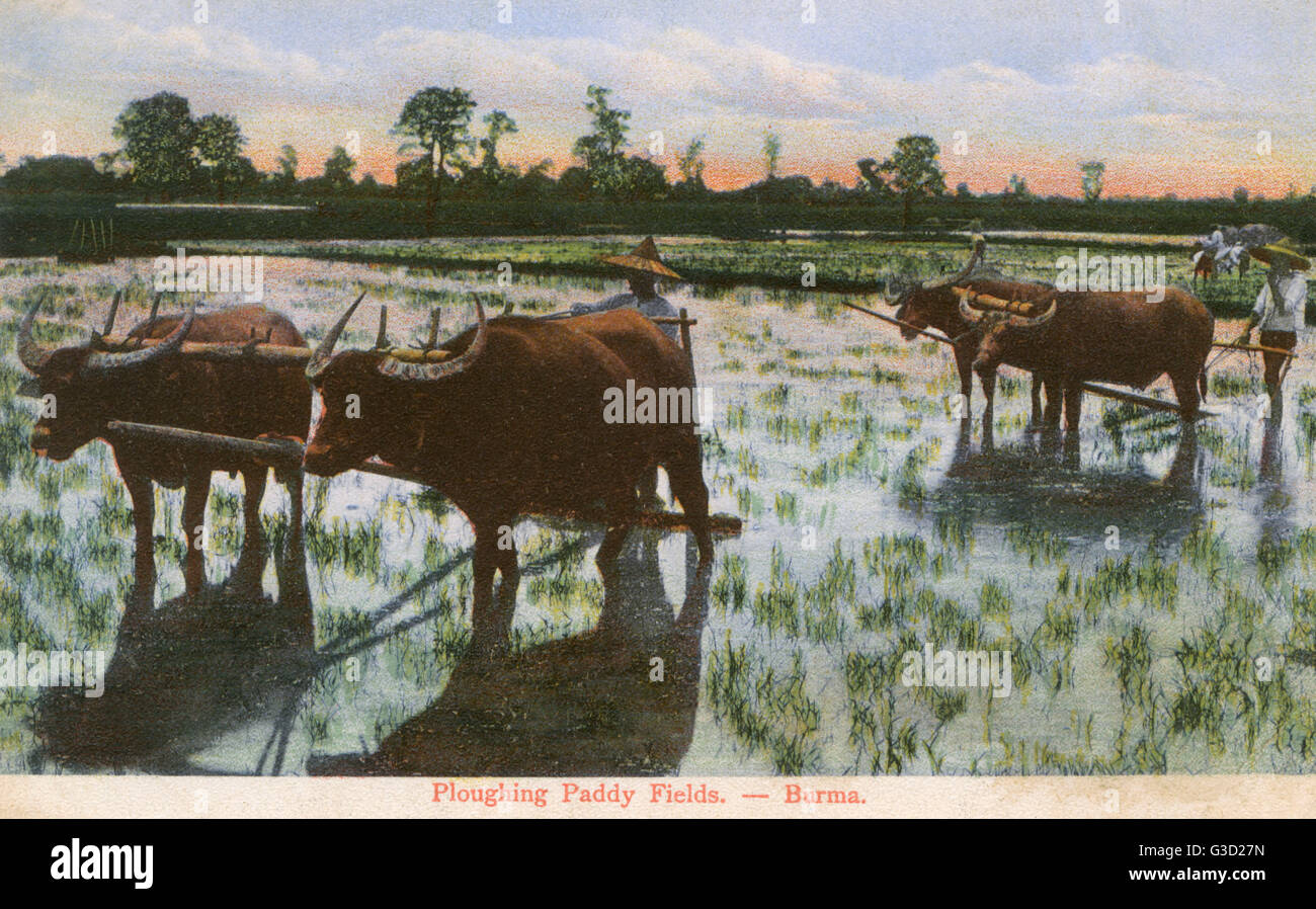 Plough ploughing field hi-res stock photography and images - Alamy