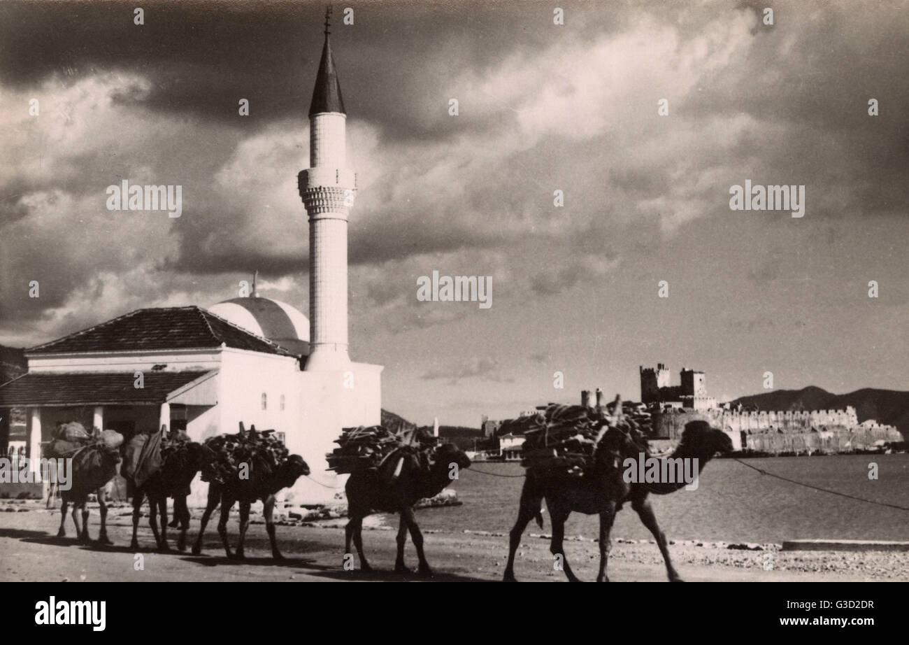 Bodrum, Turkey - Camel Train, Mosque and Castle Stock Photo - Alamy