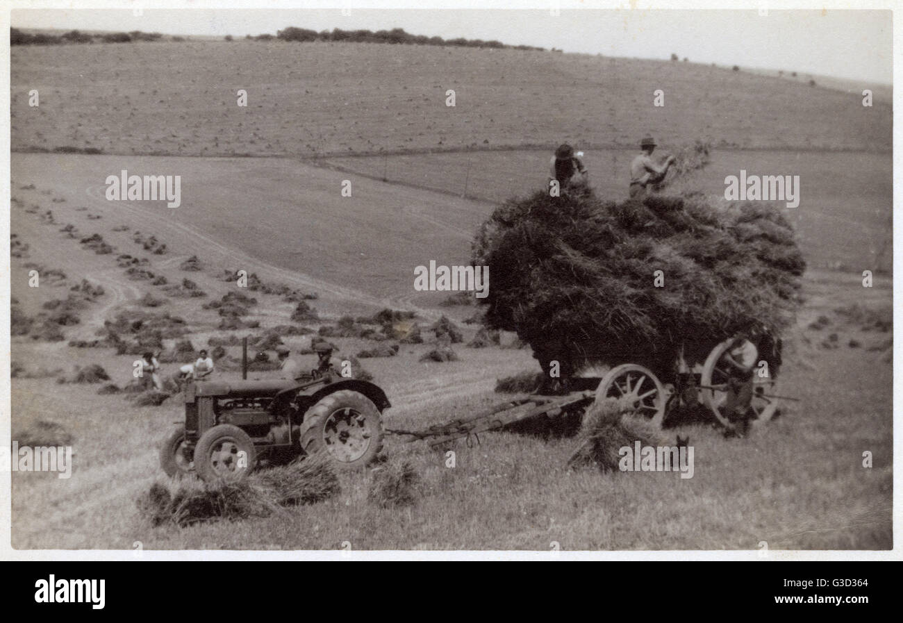 Land girls at work ww2 hi-res stock photography and images - Alamy