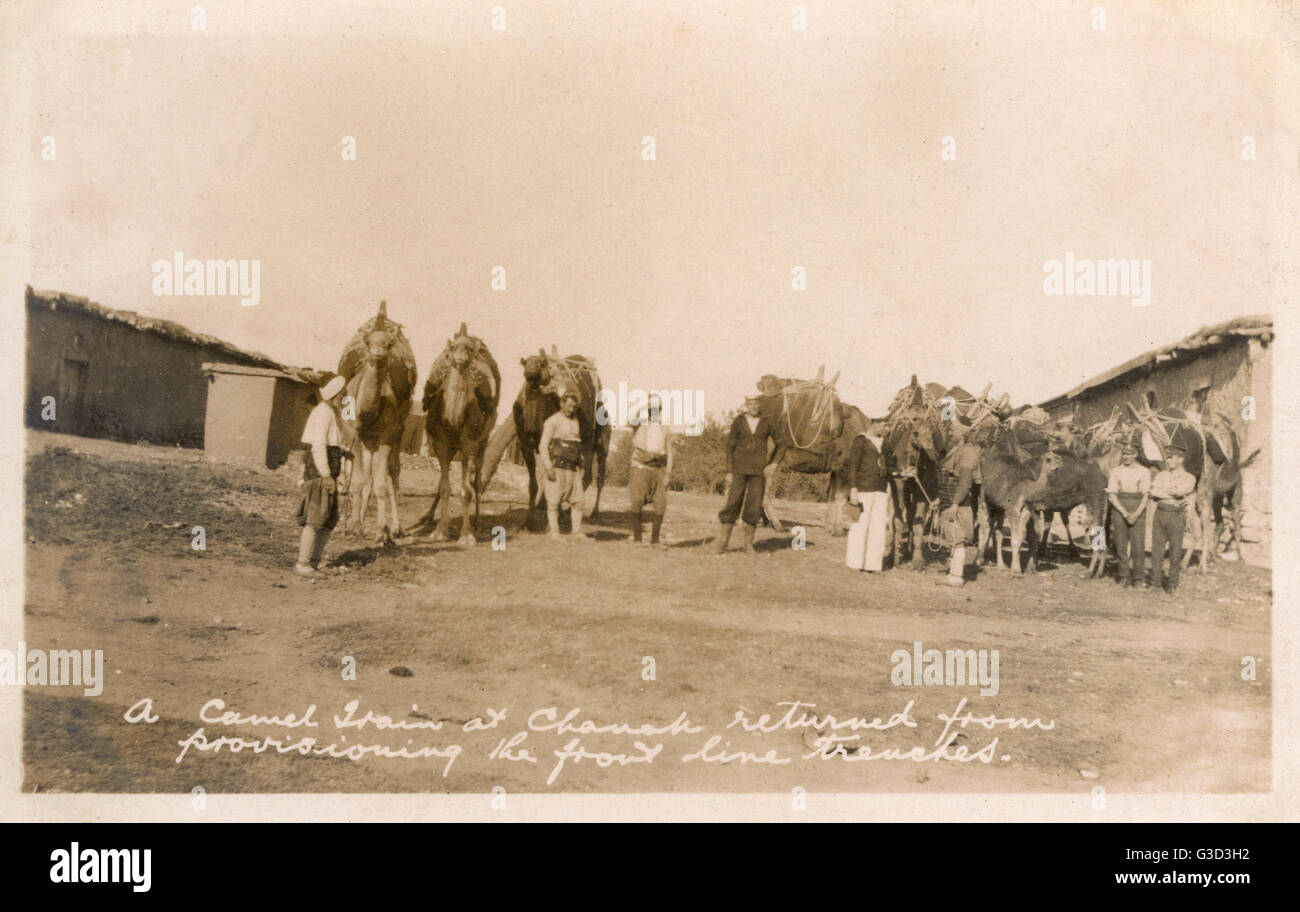 Camel train at Cannakale, Turkey - Chanak Crisis Stock Photo - Alamy