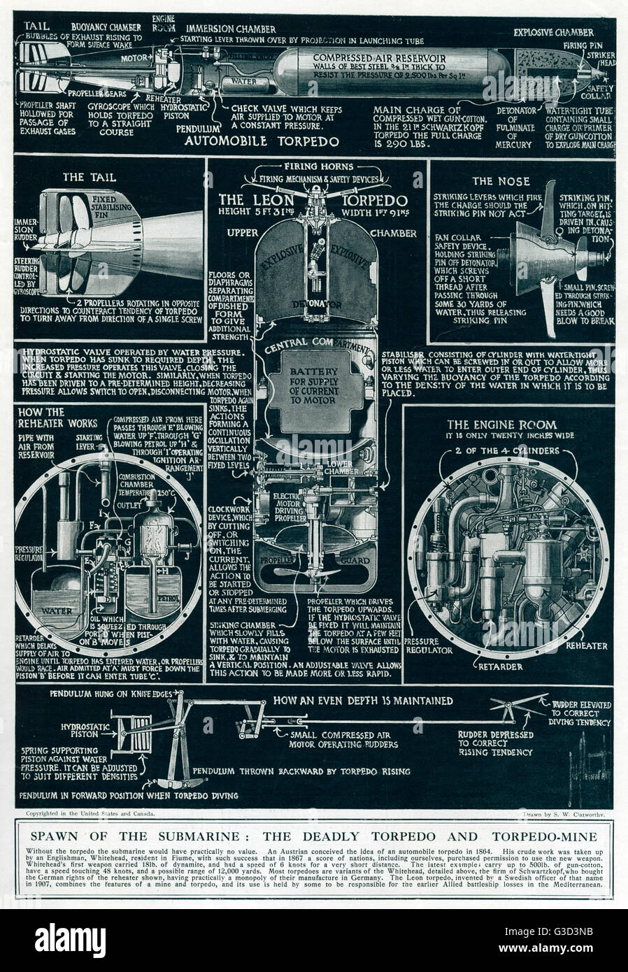 Torpedo Diagram