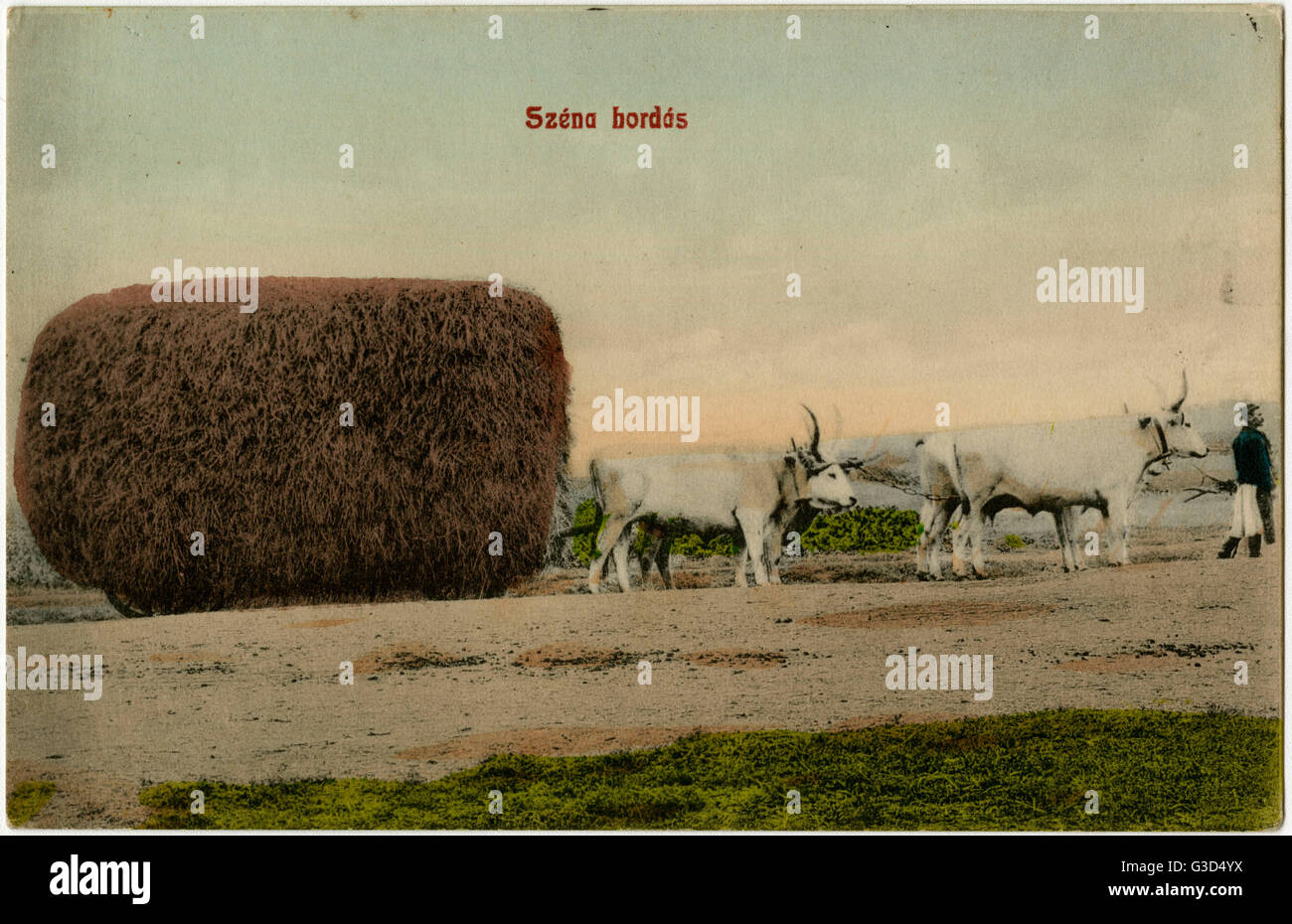 Loaded ox cart hi-res stock photography and images - Alamy