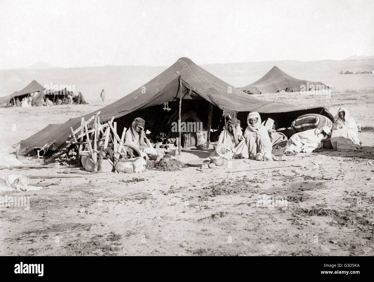 Nomad camp, Algerian Sahara, circa 1890 Stock Photo - Alamy