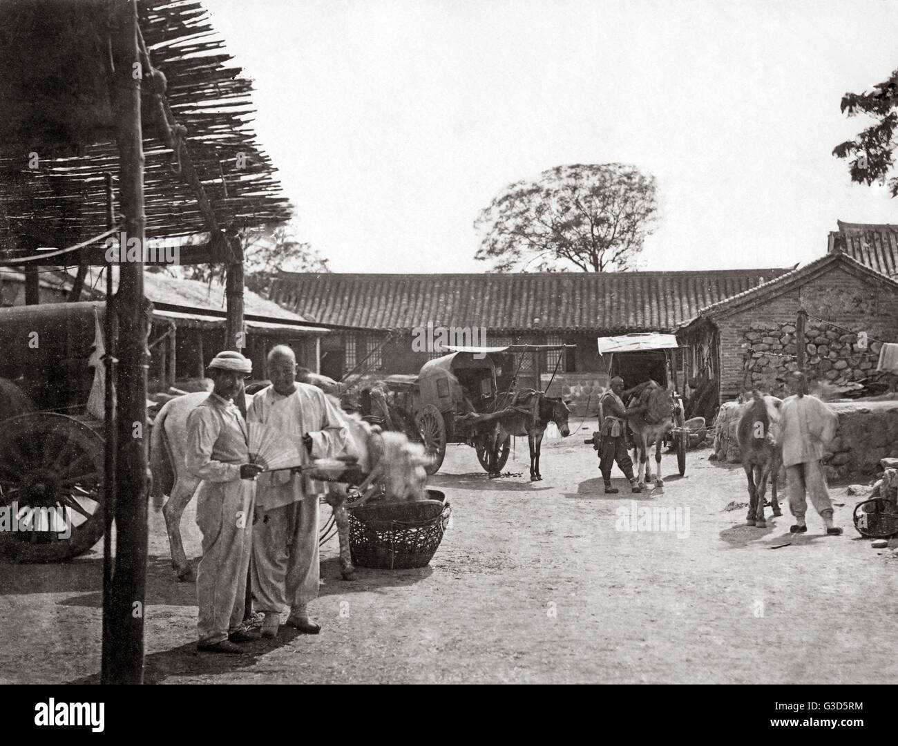 Chinese mule hi-res stock photography and images - Alamy