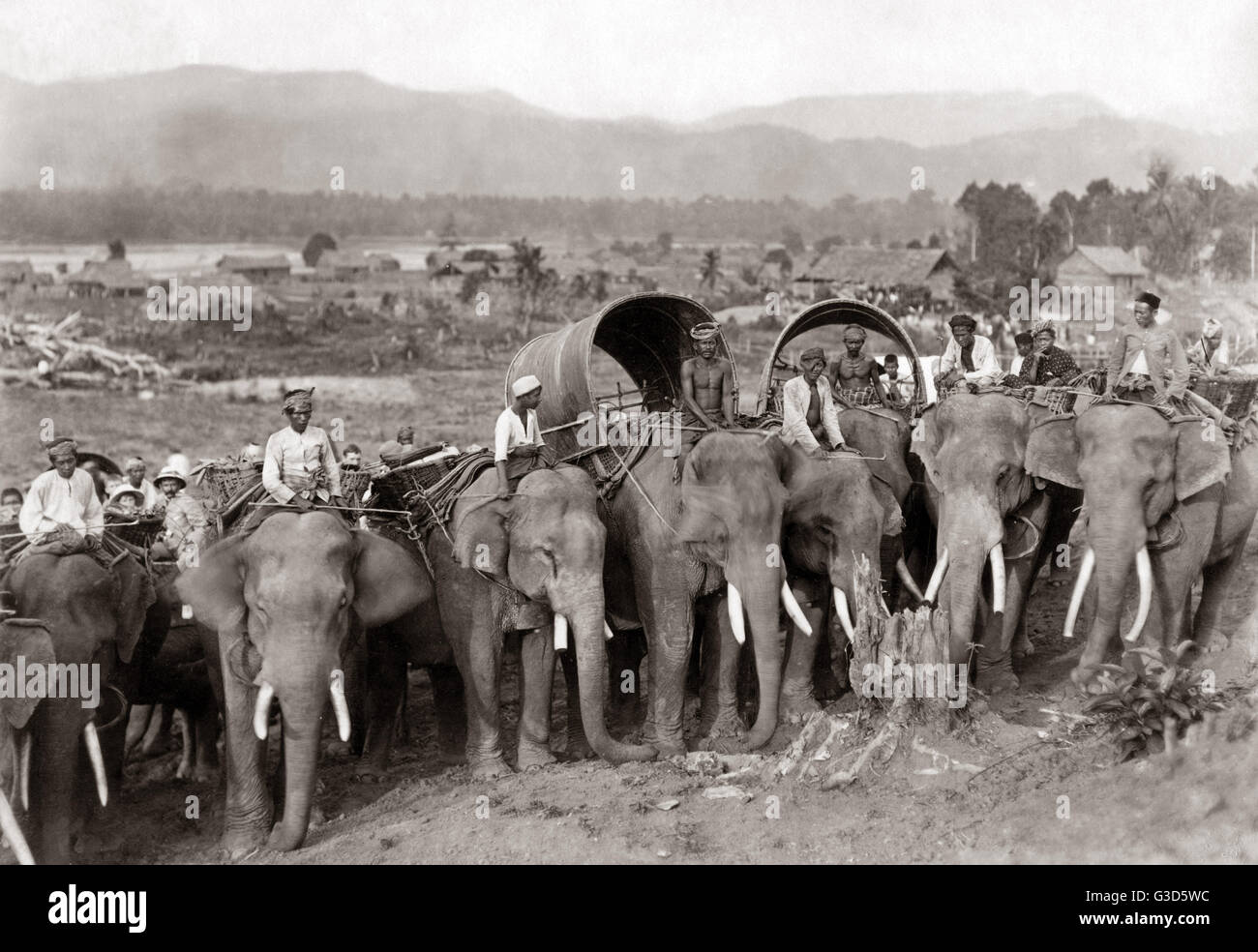 Transport elephants, probably Burma, circa 1880s Stock Photo - Alamy