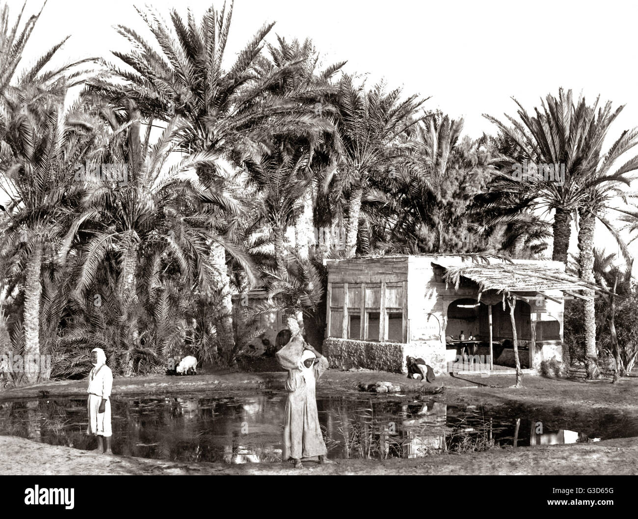 Well of Moses in the Sinai, circa 1880s Stock Photo - Alamy