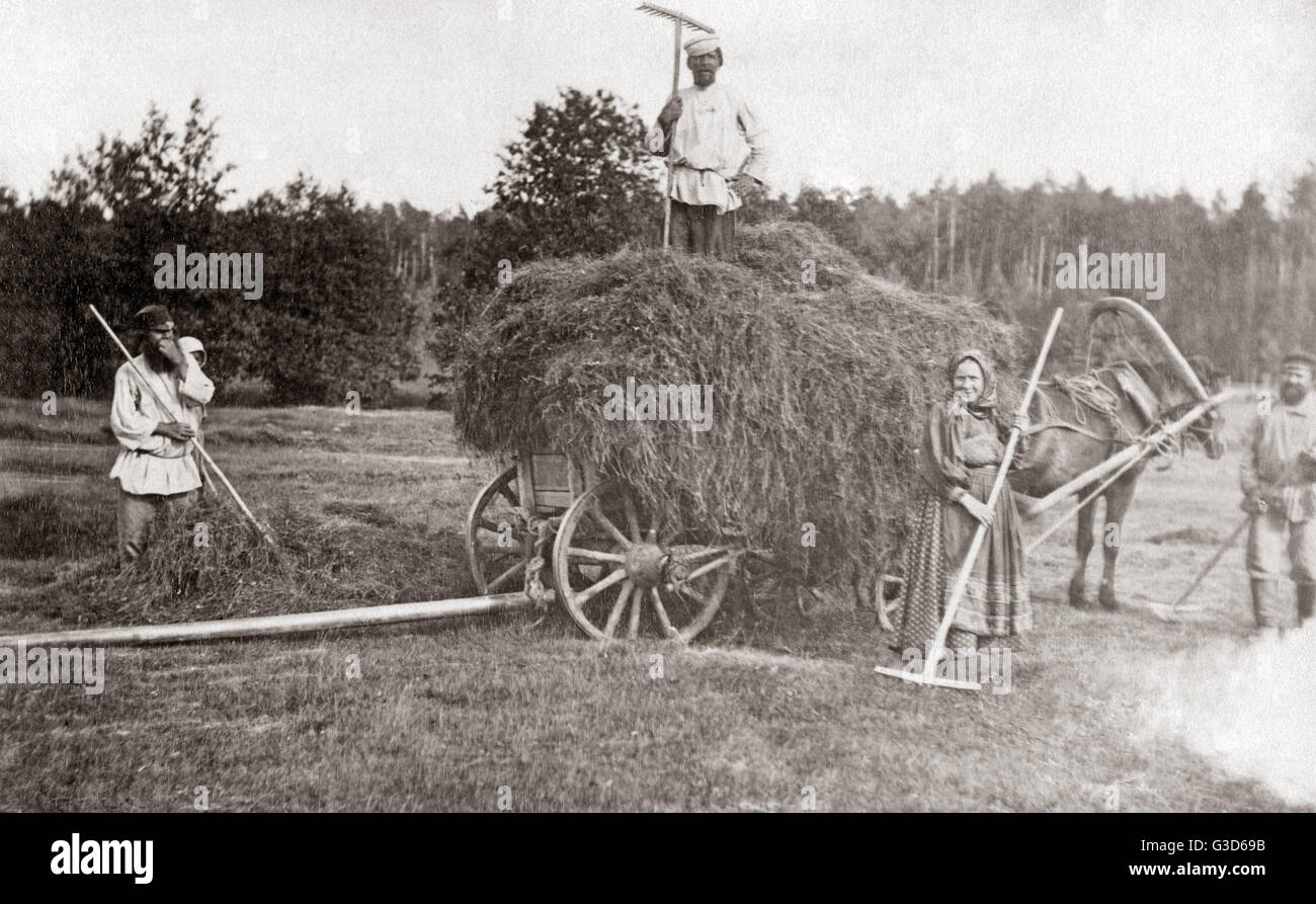 Russian peasants making hay, Russia, circa 1890 Stock Photo - Alamy