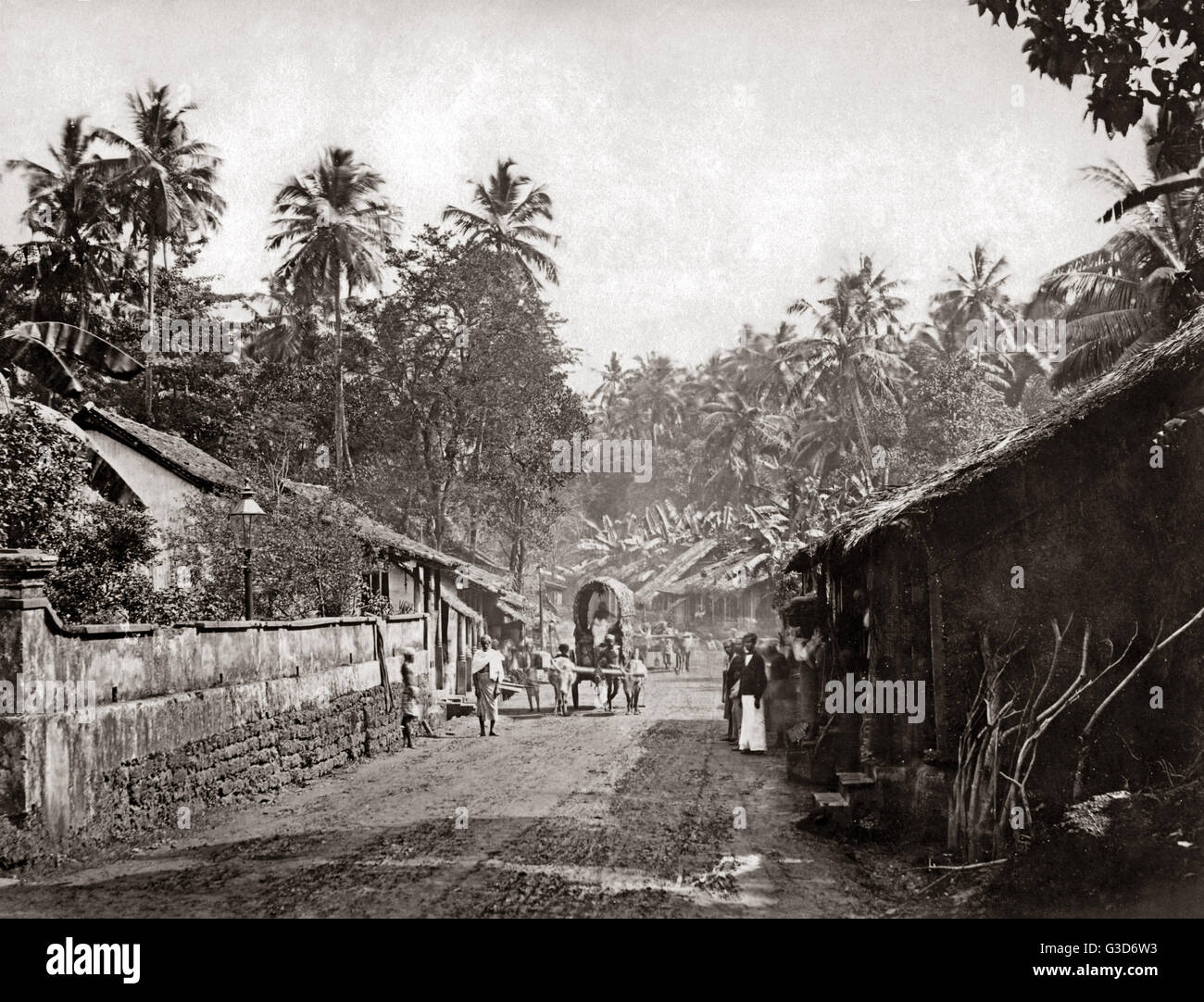 Street scene, Ceylon (Sri Lanka), circa 1880s Stock Photo - Alamy