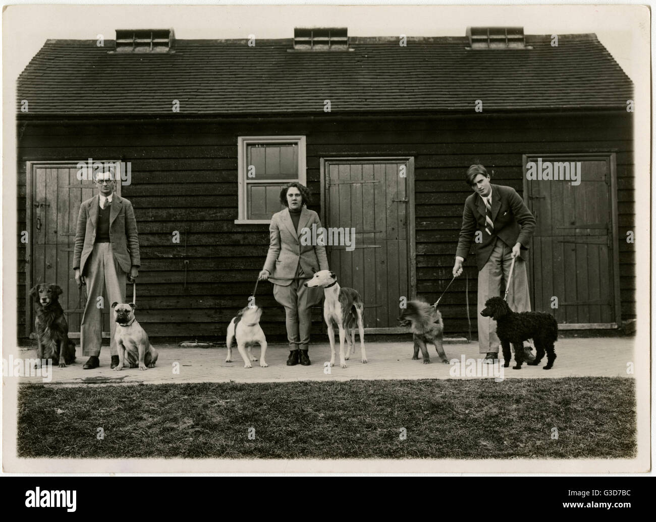 Three dog handlers with six dogs in front of stables Stock Photo - Alamy