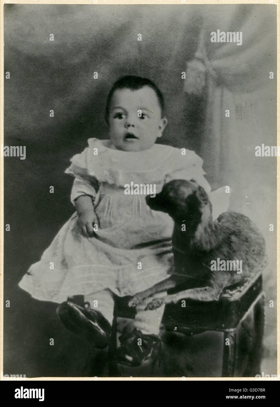 Studio photo, baby and pet dog Stock Photo - Alamy