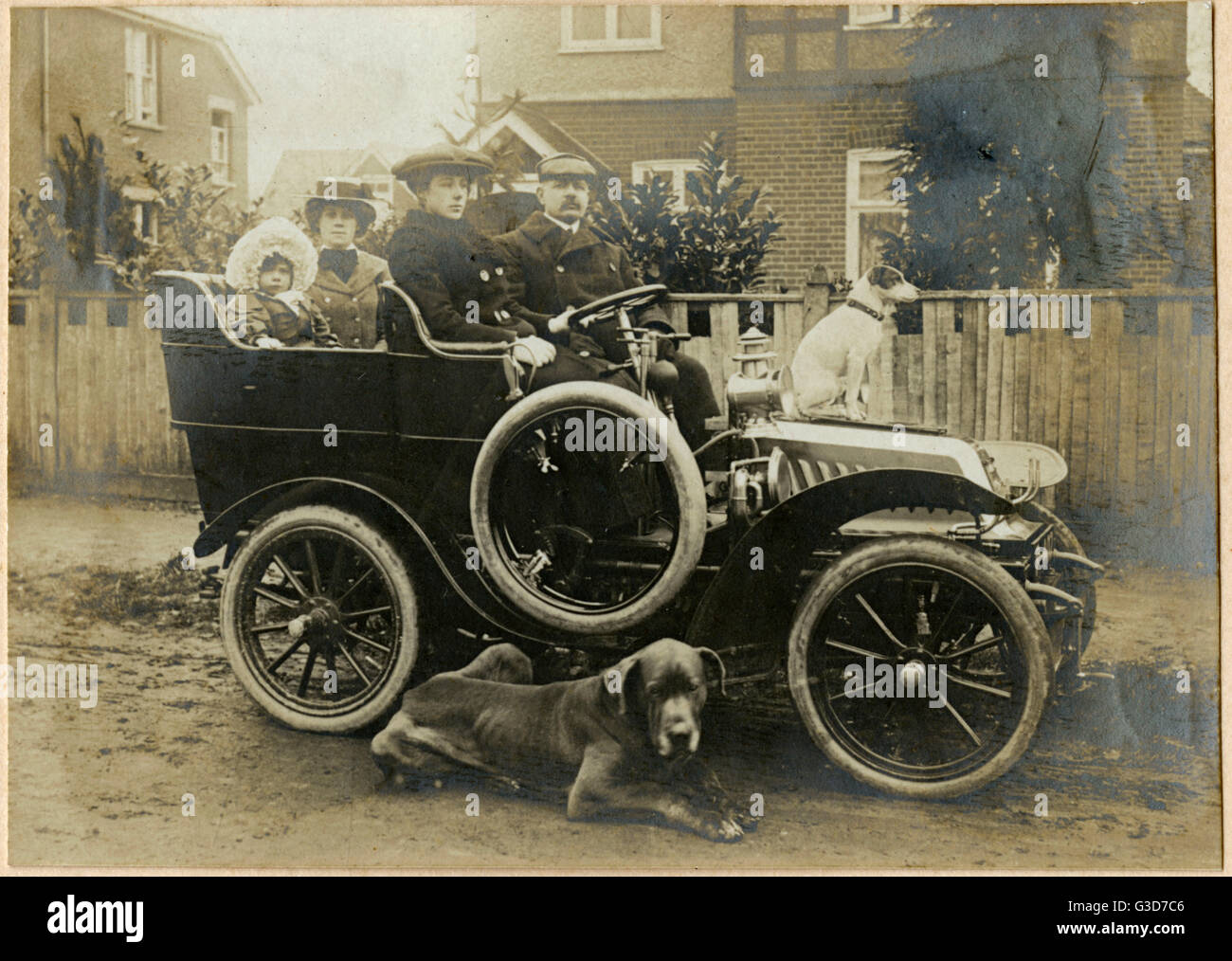 People in an early car with two dogs Stock Photo - Alamy