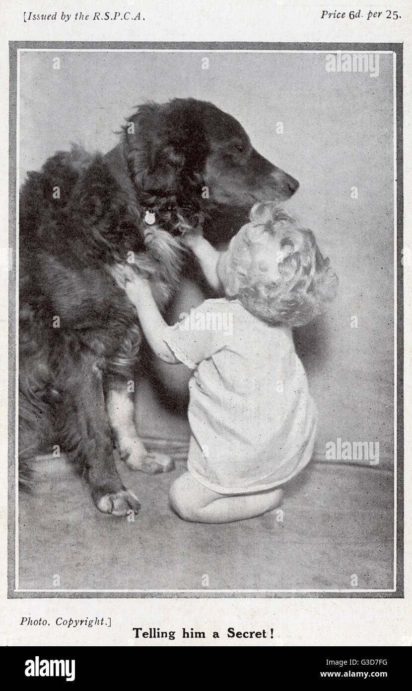 Fundraising animals hi-res stock photography and images - Alamy