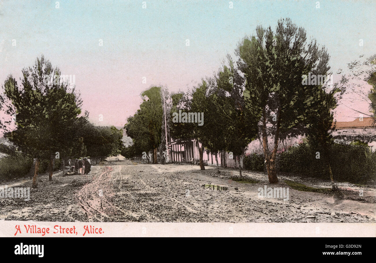 Alice, Eastern Cape, Cape Colony, South Africa Stock Photo - Alamy