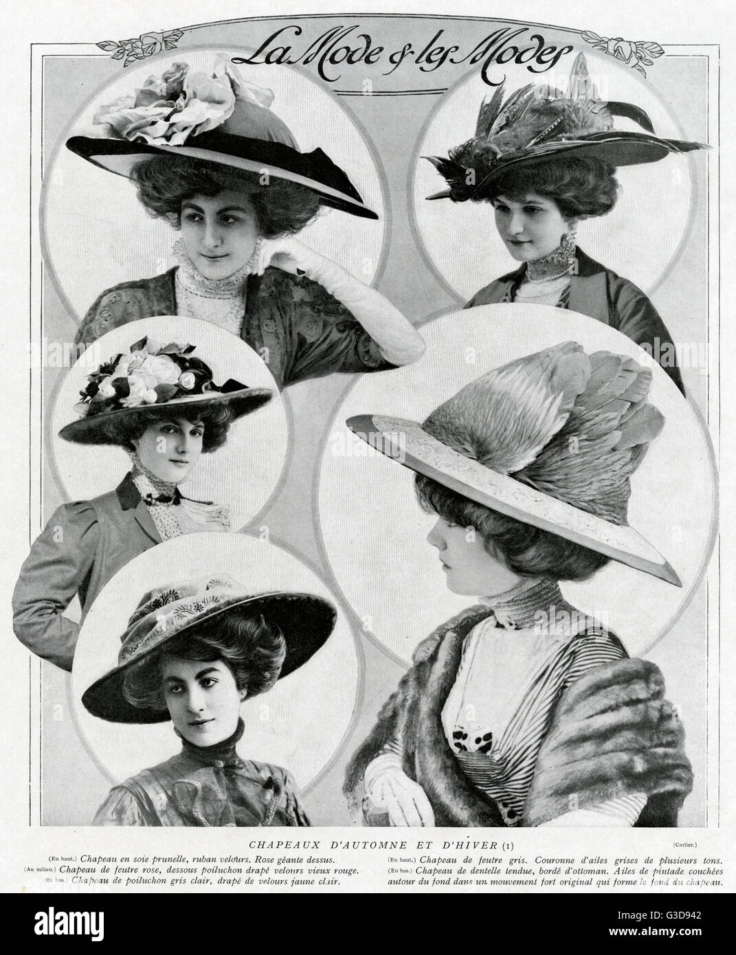 French woman wearing bird feathered hats 1908 Stock Photo - Alamy