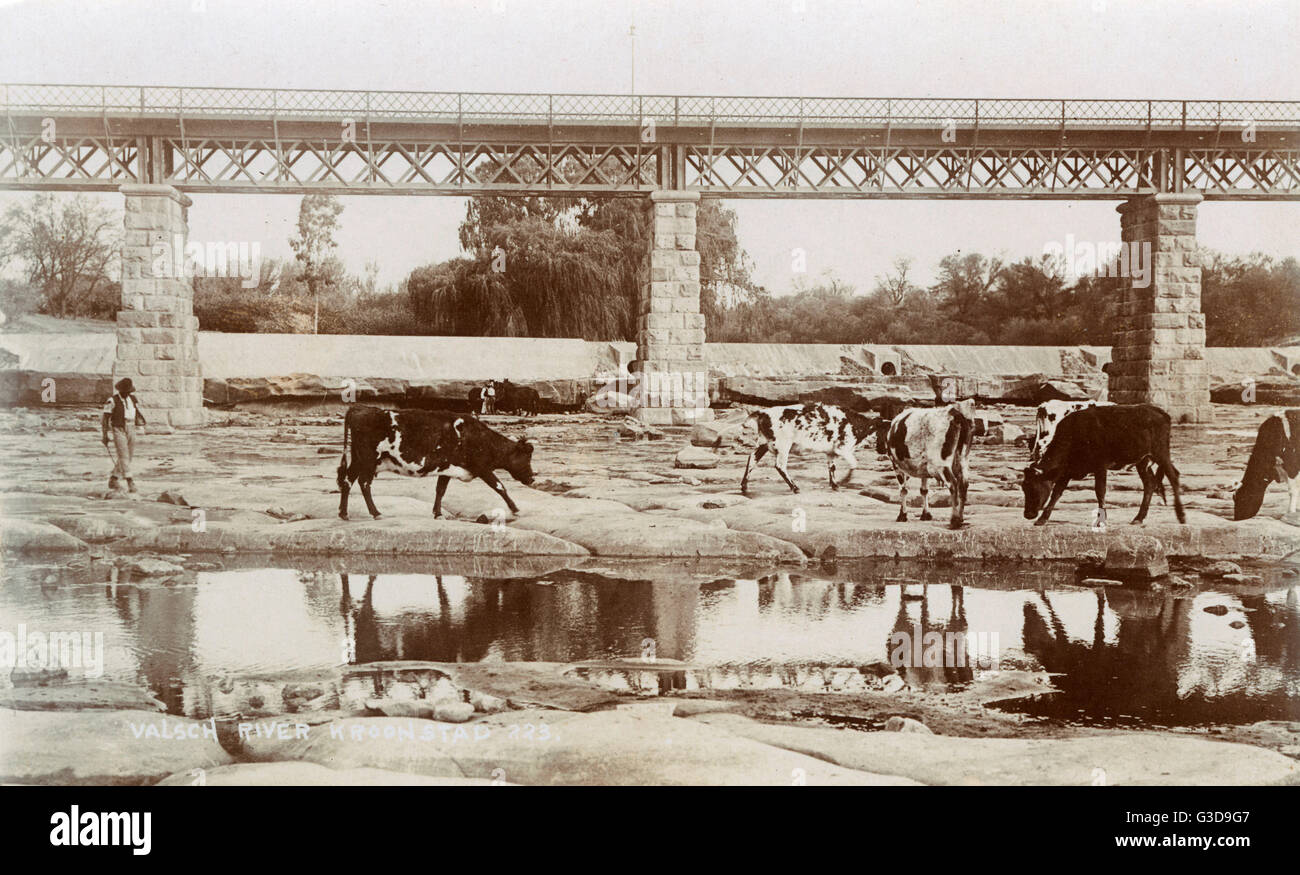Valsch River, Kroonstad, Orange River Colony, South Africa Stock Photo ...