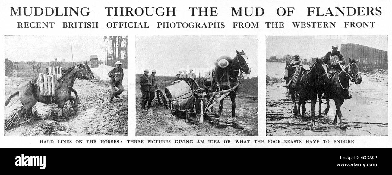 Muddling through the mud of Flanders, 1917 Stock Photo - Alamy