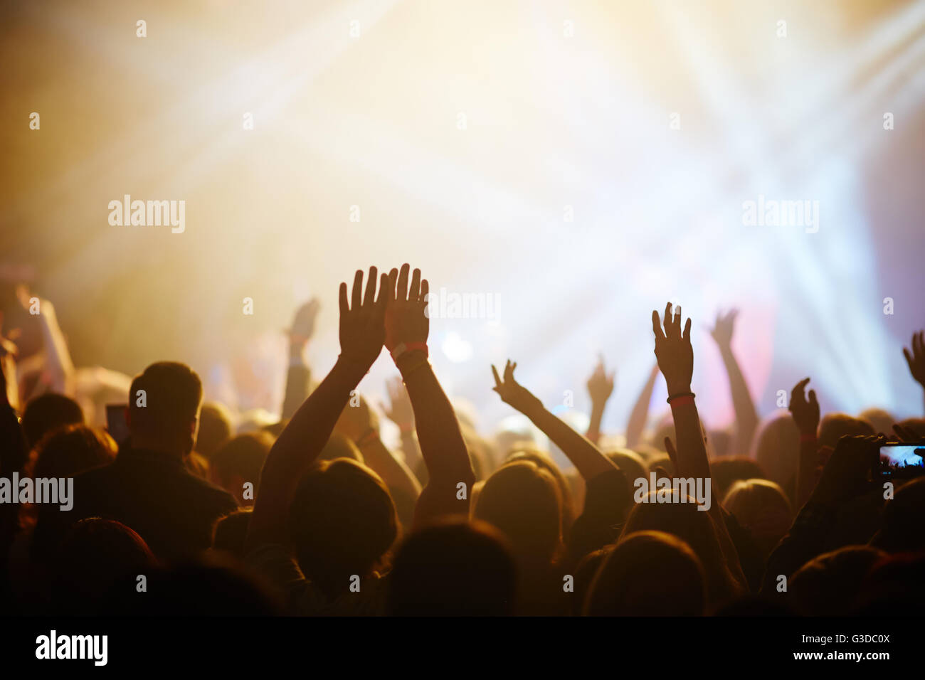 Fans at concert Stock Photo - Alamy