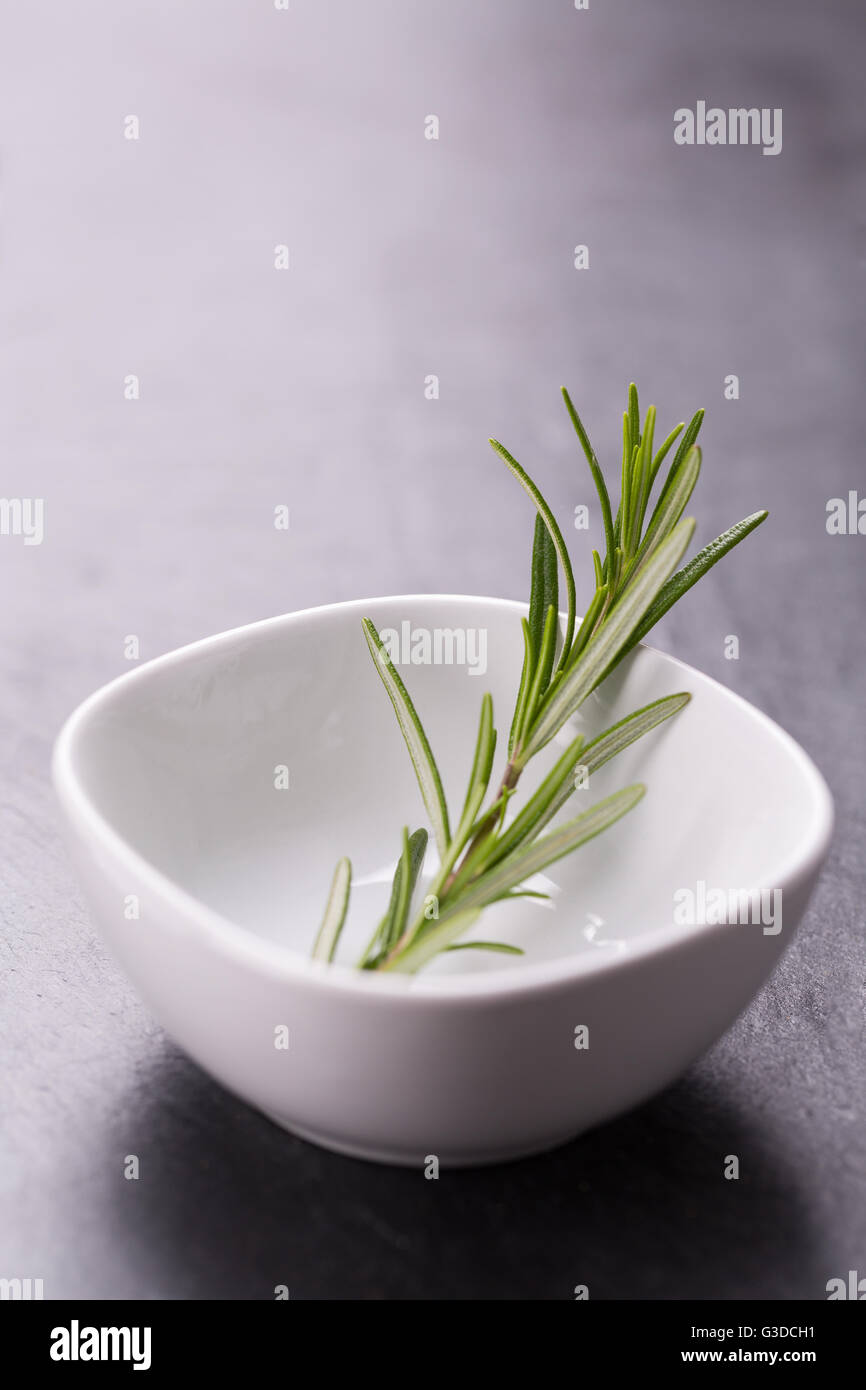 Single branch of rosemary in white bowl on dark slate background in ...