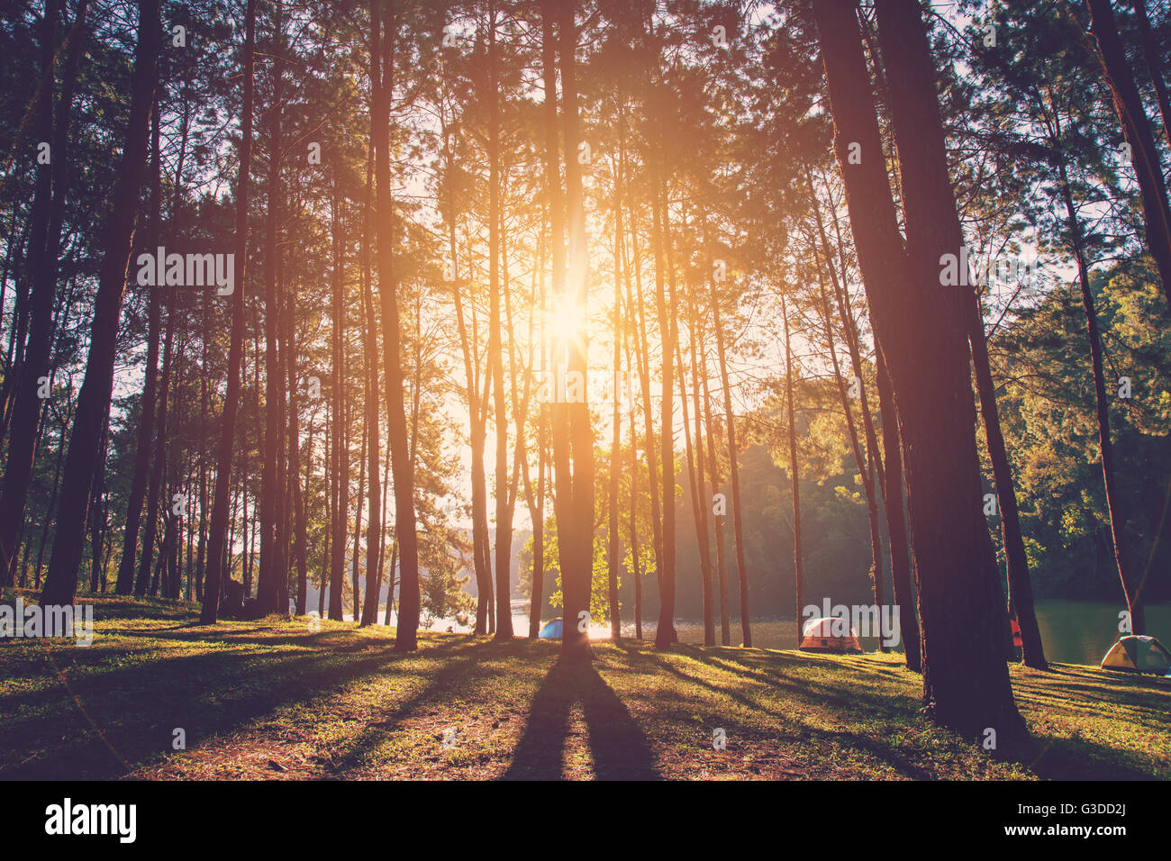 Sun tone hi-res stock photography and images - Alamy