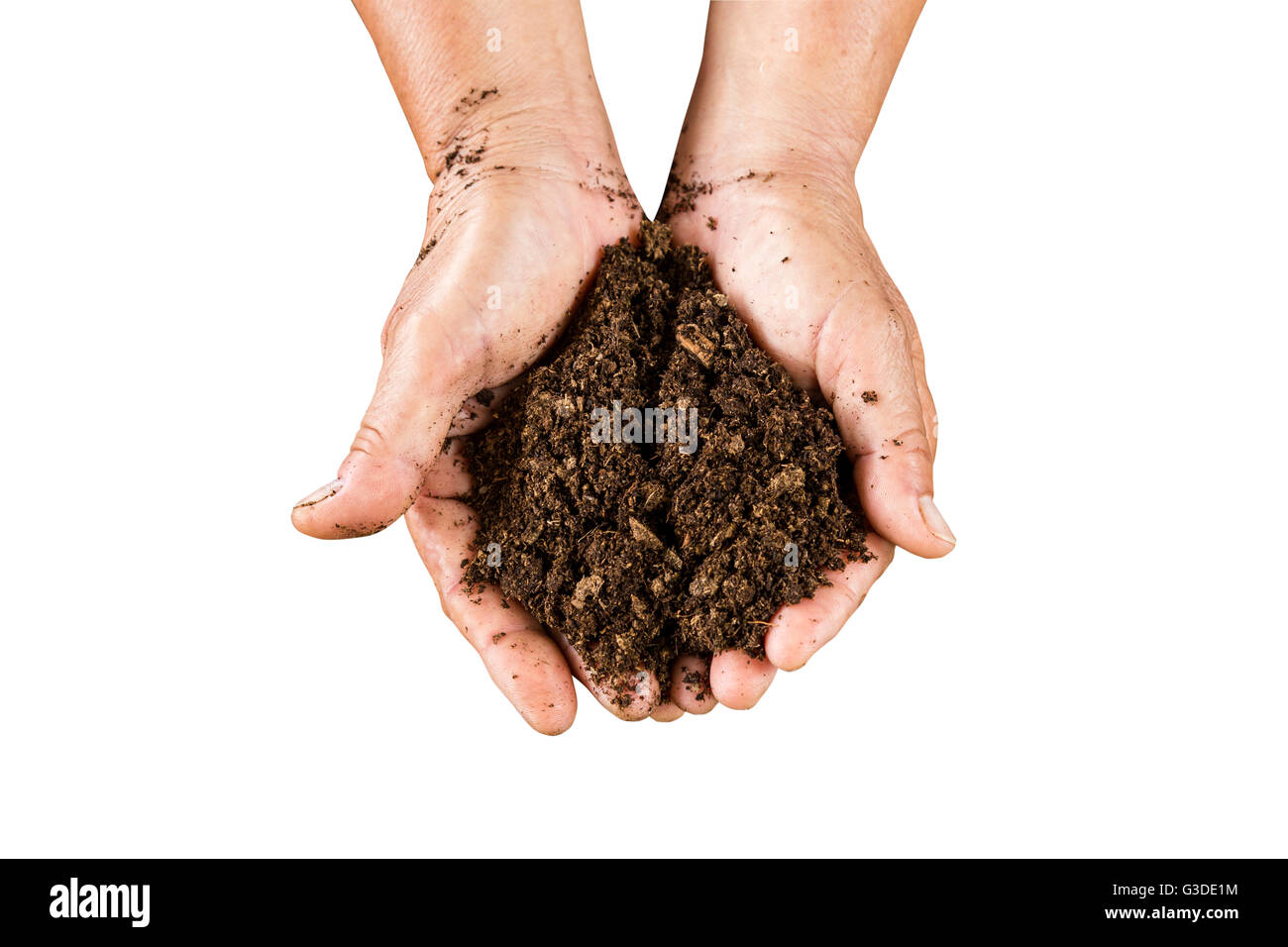 Peat Soil Stock Photos & Peat Soil Stock Images - Alamy