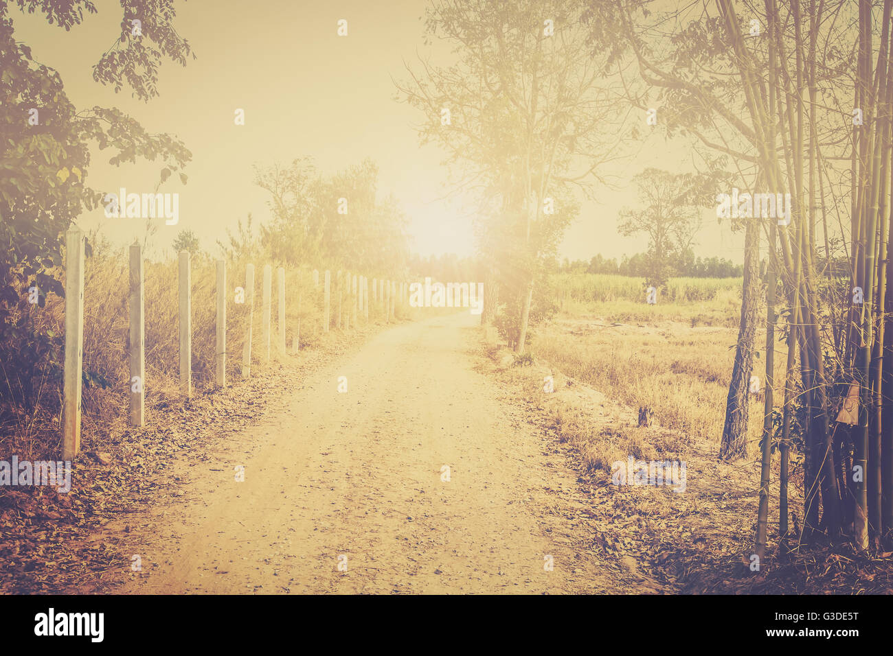 Background road photo hi-res stock photography and images - Alamy