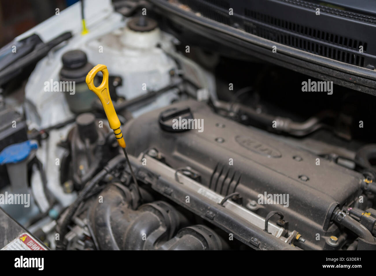 Checking the oil level in the engine Stock Photo - Alamy
