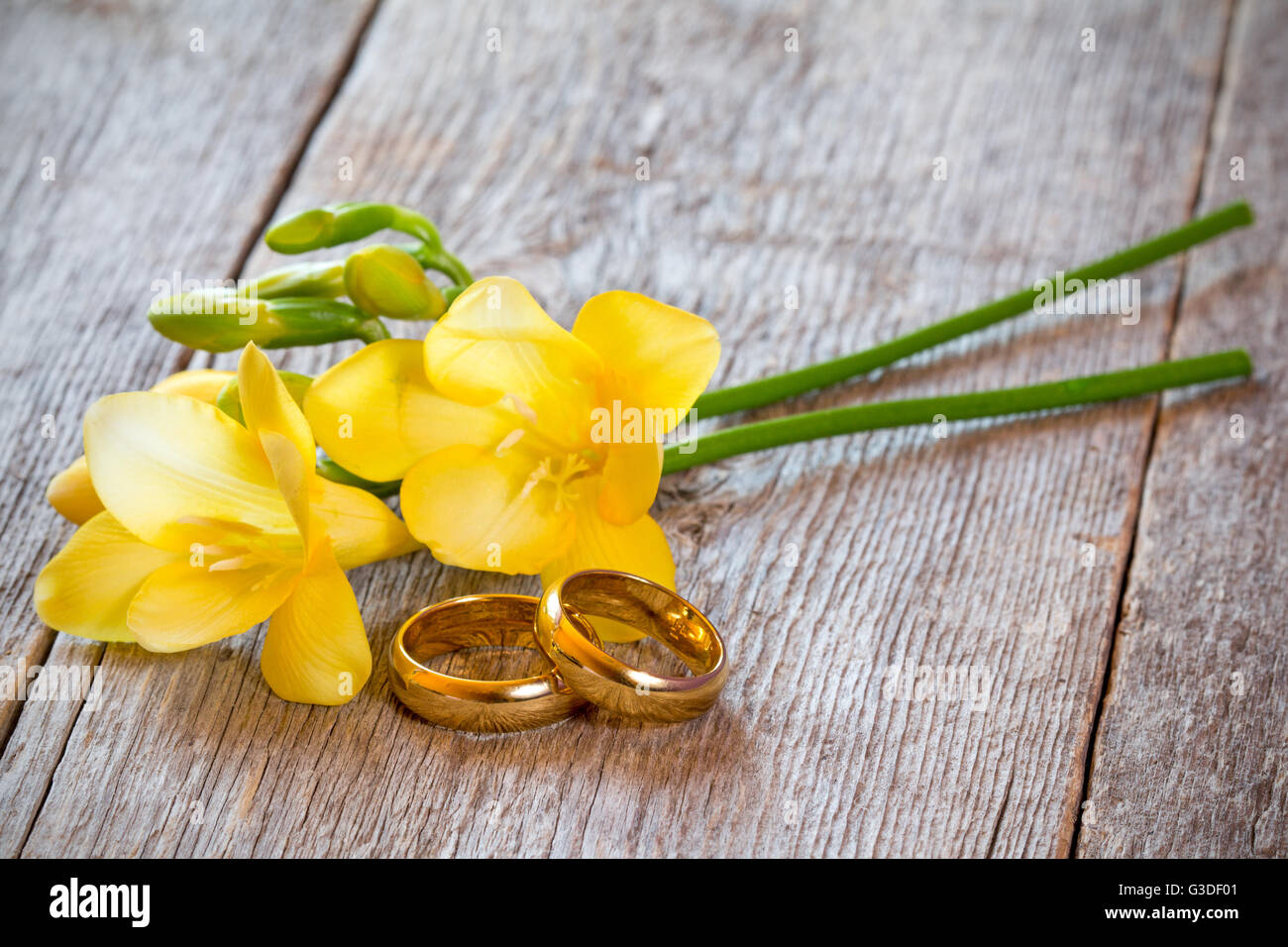 Golden wedding rings with freesia flower on wooden background Stock ...