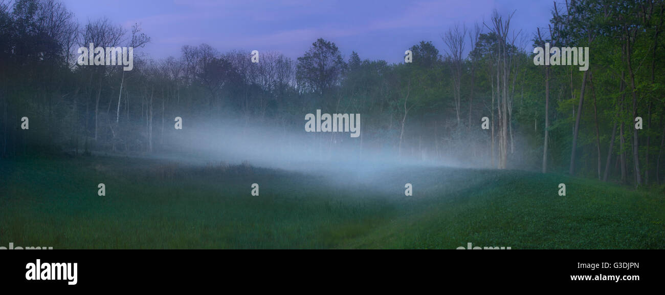 Panorama over meadow hi-res stock photography and images - Alamy
