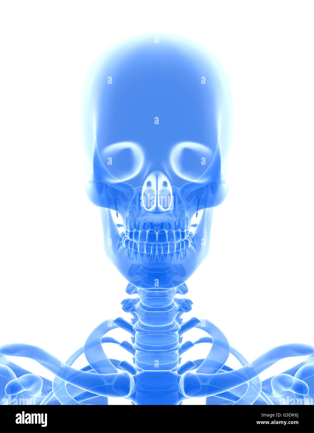 3D illustration of shiny blue skeleton system, medical concept Stock ...
