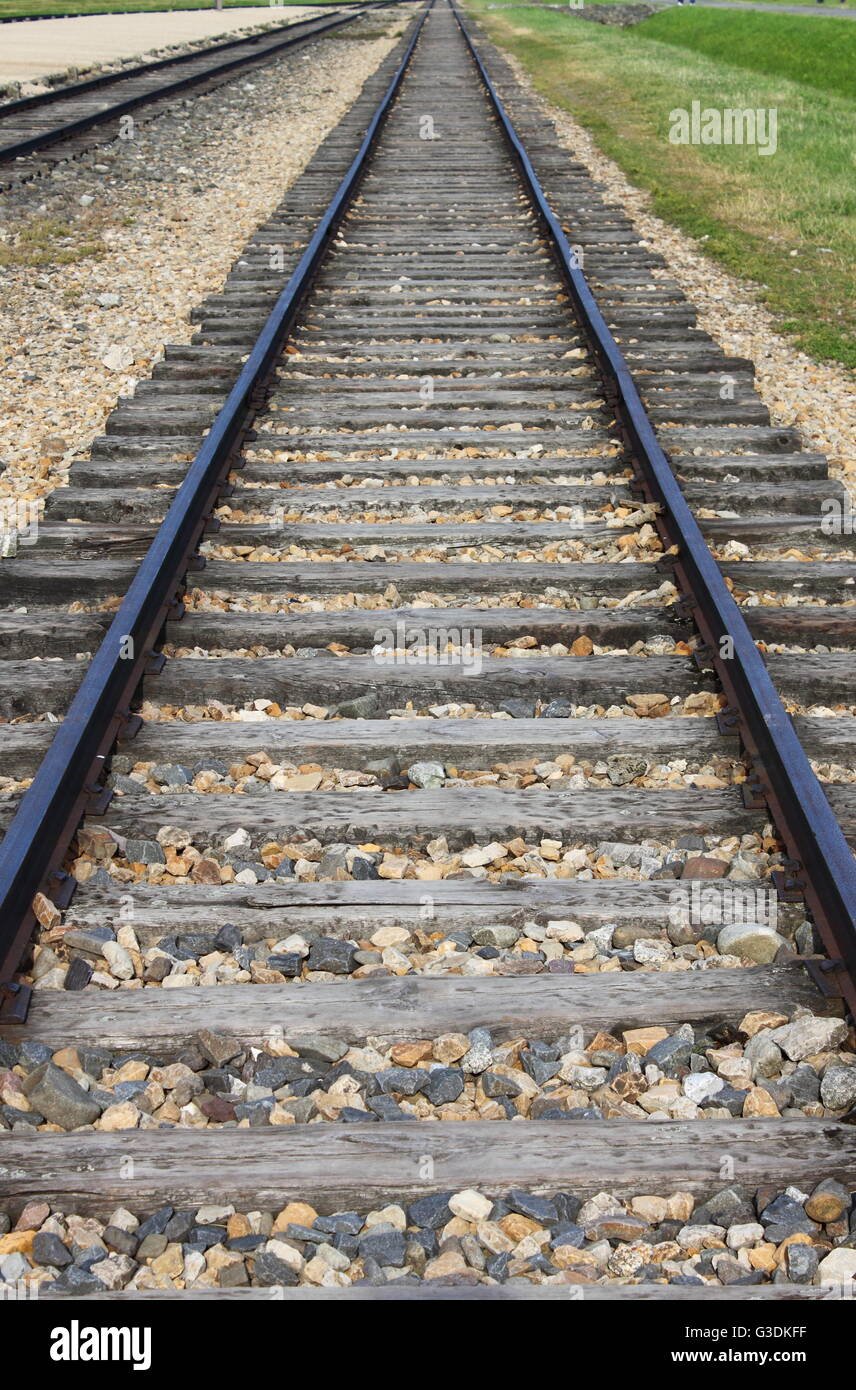 Railway line disappearing into horizon Stock Photo - Alamy