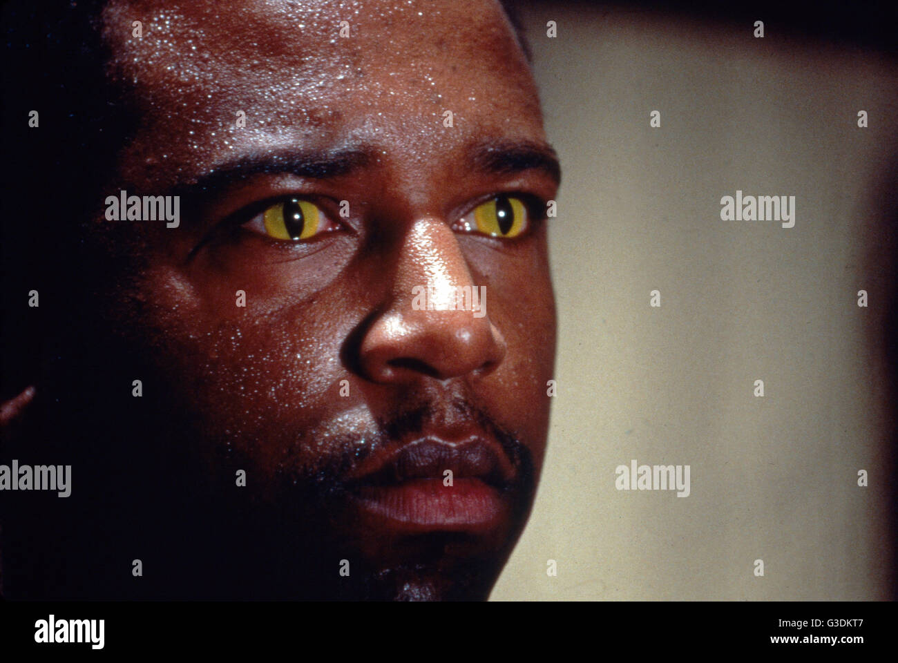 Dark Breed, aka: Dark Breed - Invasion aus dem All, USA 1996, Regie ...