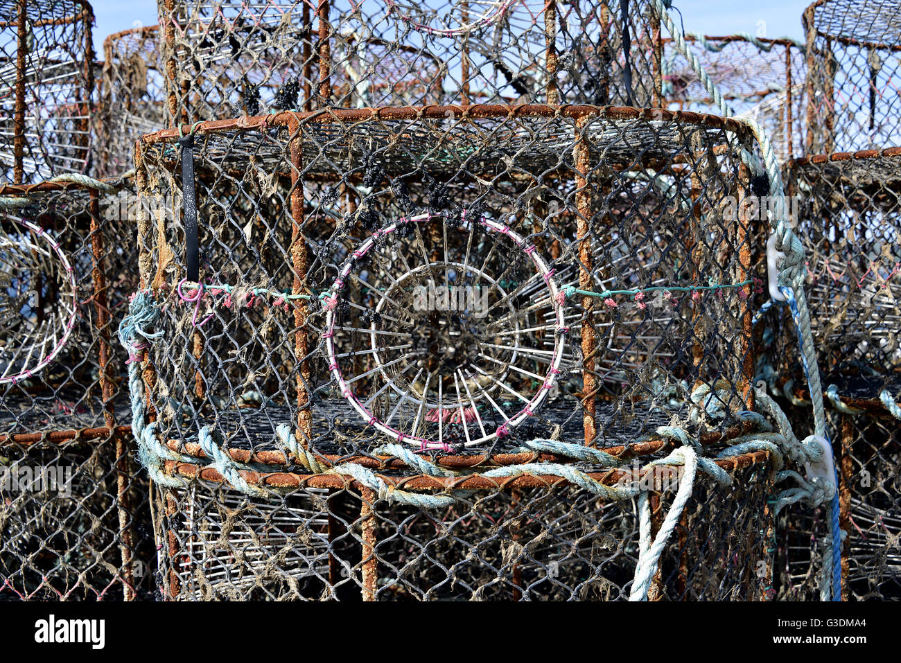 Pot fishing lobster trap hi-res stock photography and images - Alamy