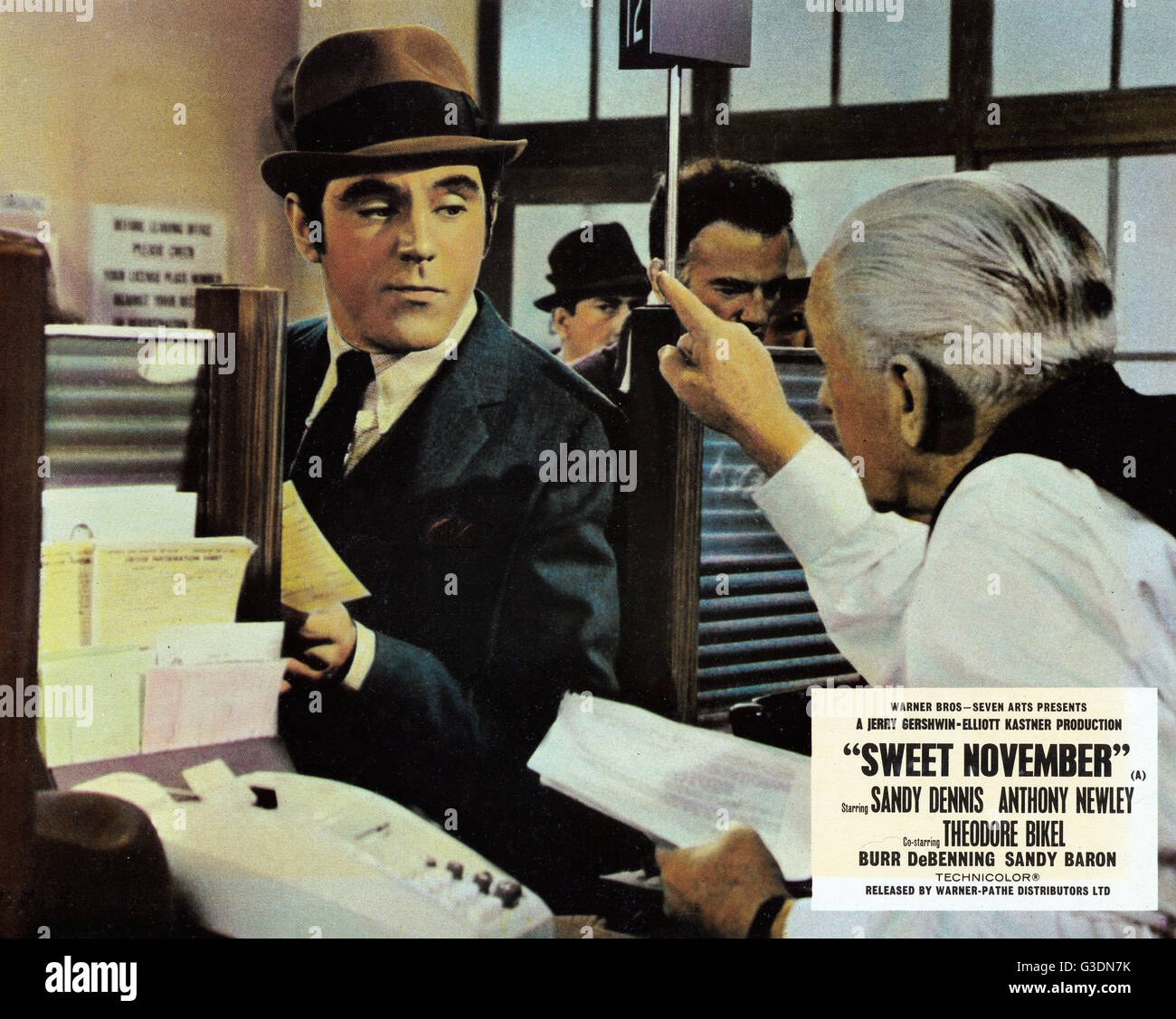 Sweet November, aka: Adieu geliebter November, USA 1968, Regie: Robert ...