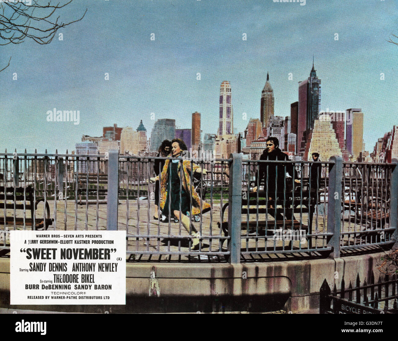 Sweet November, aka: Adieu geliebter November, USA 1968, Regie: Robert ...