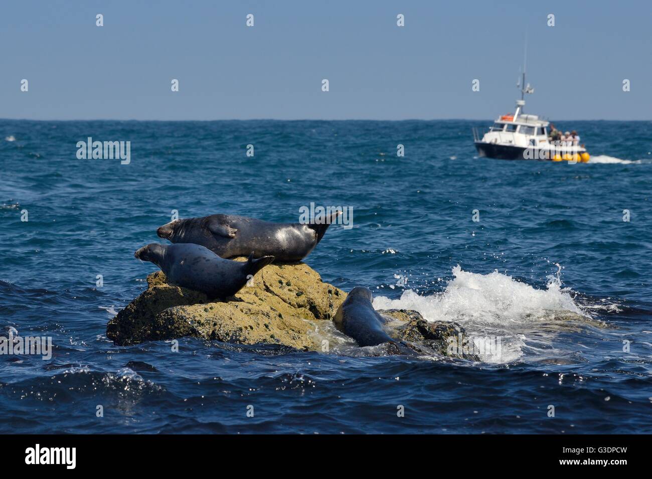 Offshore rocks hi-res stock photography and images - Alamy