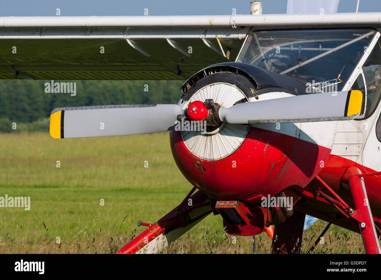 Old sports plane at the airport flying club Stock Photo - Alamy