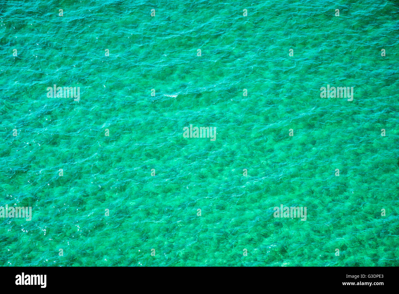 Sea_bed hi-res stock photography and images - Alamy