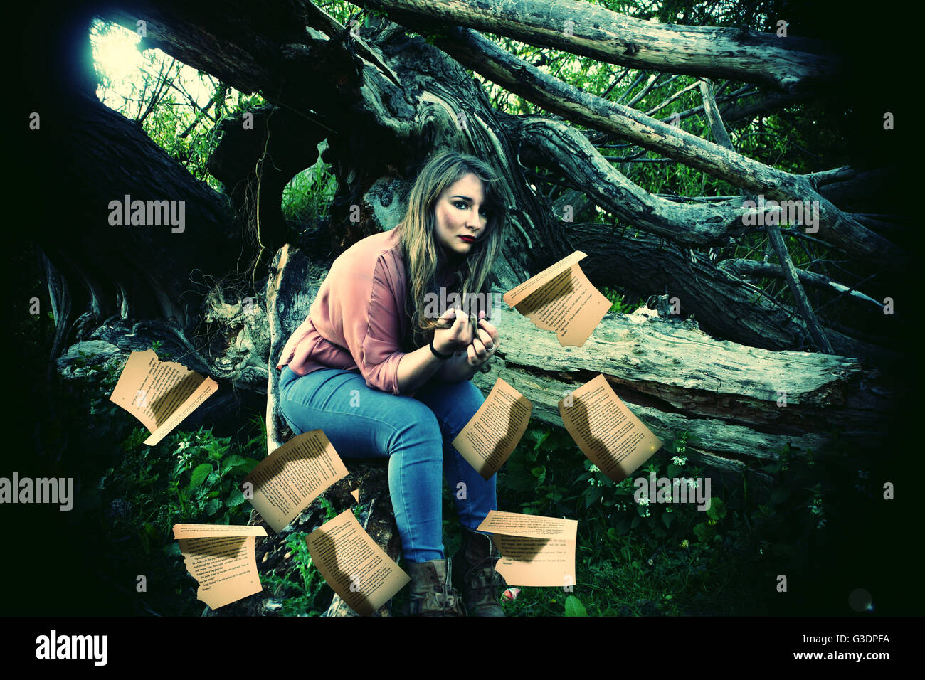 believe, imagination, book, pages, tree, forest, magic forest, story ...