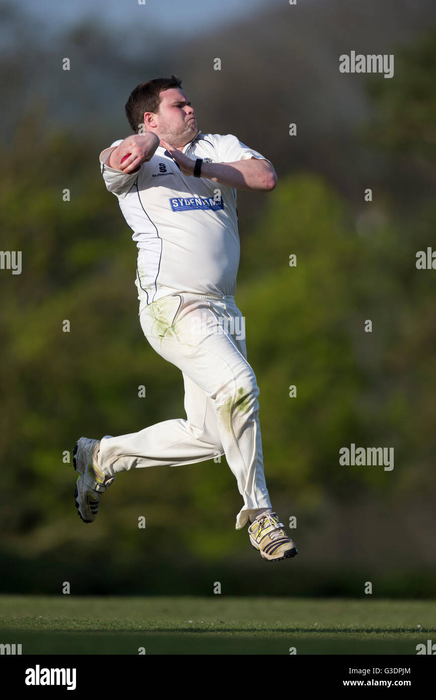 cricket, bowler in action Stock Photo - Alamy