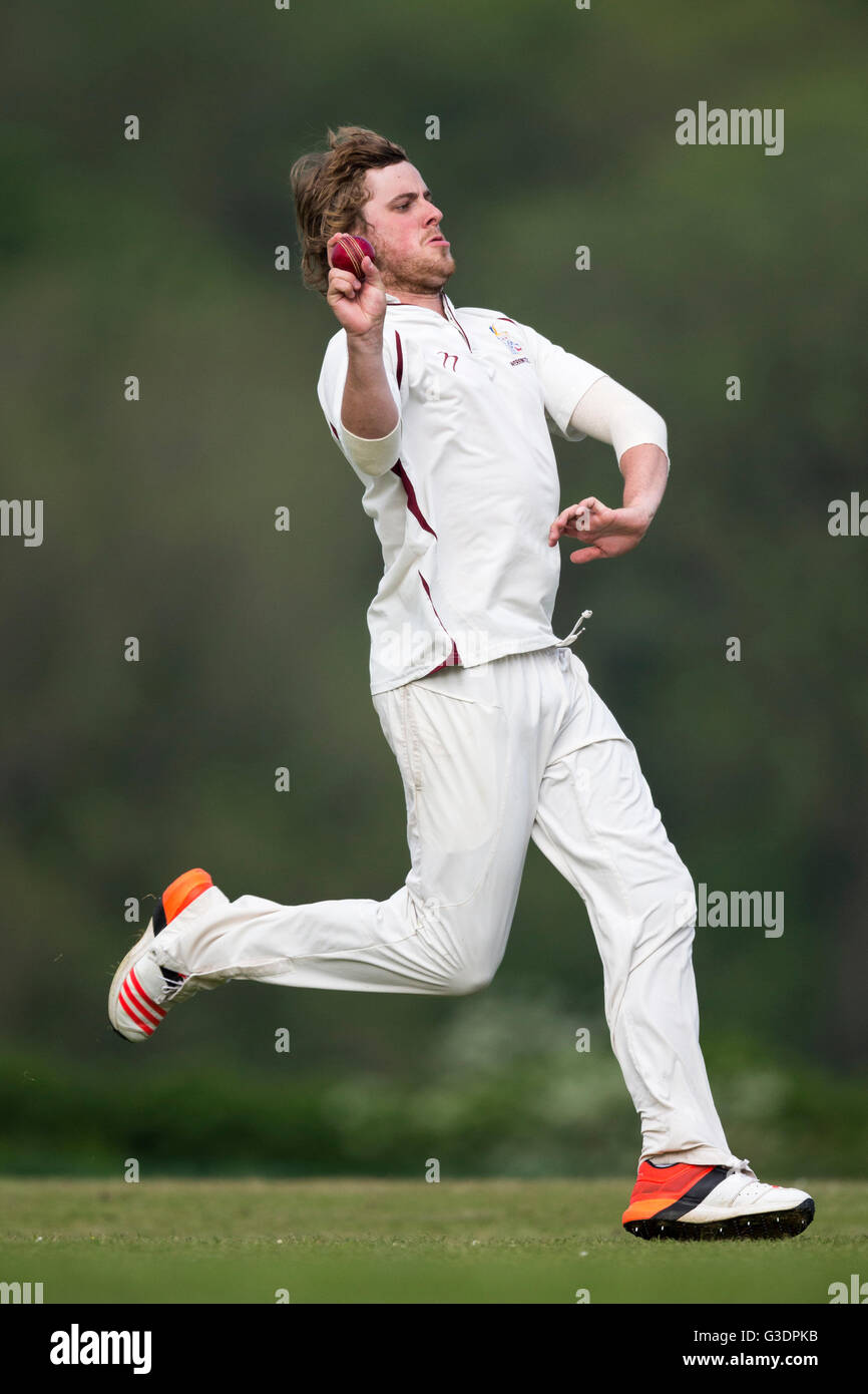cricket, bowler in action Stock Photo - Alamy